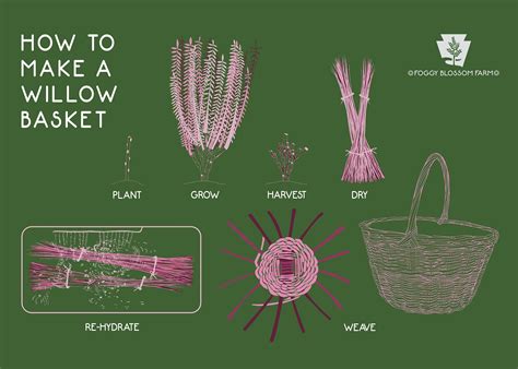 Beginners Guide To Willow Basketry — Foggy Blossom Farm