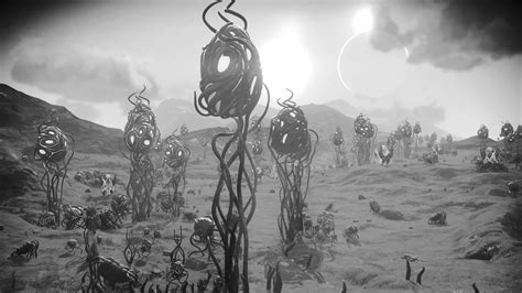 Black And White Pic From Infested Planet R Nms Photoshare