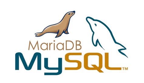 Reset The Mariadb Root Password Servarica