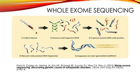 Ppt Gene Sequencing Understanding Genetics And Whole Genome