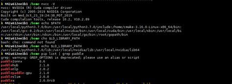 docker镜像中使用执行paddle fluid install check run check 时出现错误 Issue PaddlePaddle Paddle