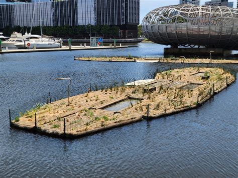 Floating Wetlands And Floating Ecosystems Balance Enviro