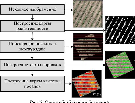 Figure 2 From Automated Detection Of Weeds And Evaluation Of Crop Sprouts Quality Based On Rgb