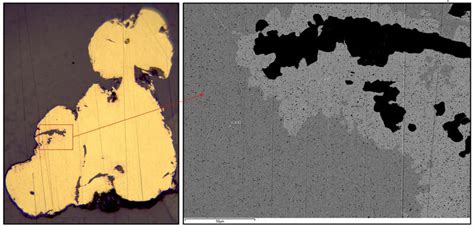 Beauce Gold Fields Examines Gold Nuggets Patrick Levasseur Posted On