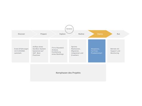 Agile Methodik Mit Sap Activate
