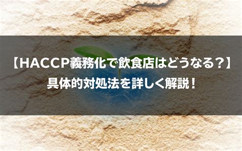 Haccp義務化で飲食店はどうなる？具体的対処法を詳しく解説！｜飲食情報メディア Hibana