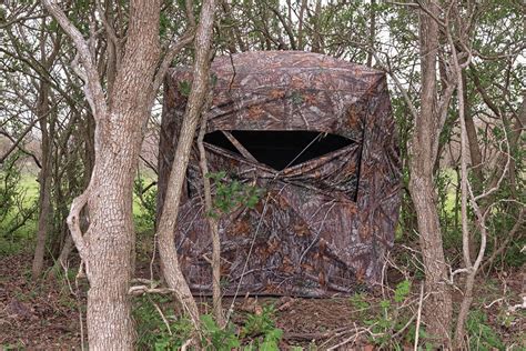 Ground Blind Placement Tips At Charlotte Wiltshire Blog
