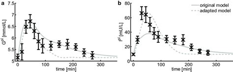 The Physiology Based Dynamic Model Can Also Describe Postprandial