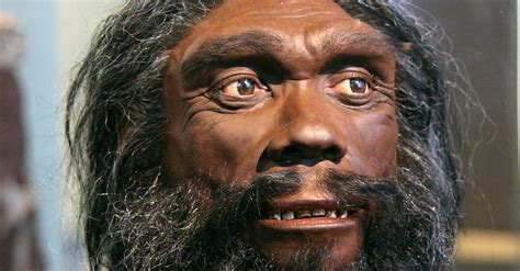 Homo Heidelbergensis World History Encyclopedia
