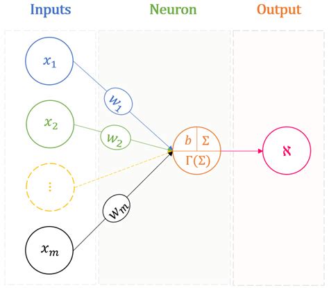 1 A Perceptron Neuron Download Scientific Diagram
