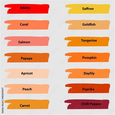 Different Shades Of Red Color Stock Vector Adobe Stock