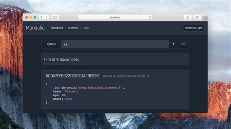 Github Huggingfacemongoku The Web Scale Gui For Mongodb Rmongodb