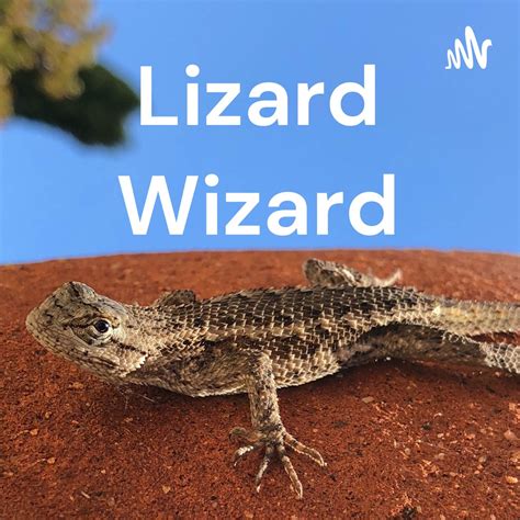 Lizard Wizard Podcast Apple Podcasts