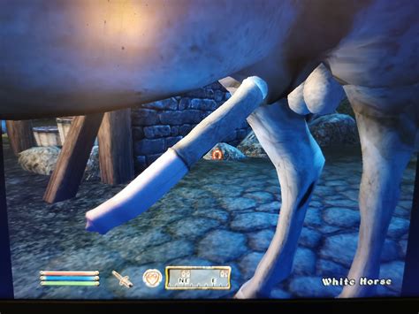 Horse Schlong Request And Find Oblivion Adult And Sex Mods Loverslab