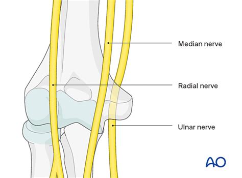 Groove For Ulnar Nerve Humerus