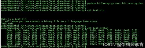 【linux C语言编程】4种方法将bin文件生成c语言格式的头文件数组bin文件怎样翻译成源码 Csdn博客