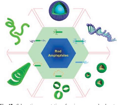 Figure 17 From Aqueous Self Assembly Of Aromatic Rod Building Blocks