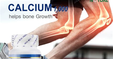 Structural Support For Bone And Joint Health