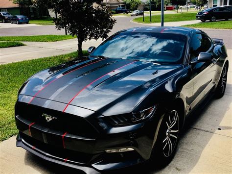 Black Stripes Mustang Gt