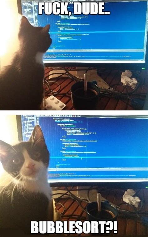 really r programmerhumor
