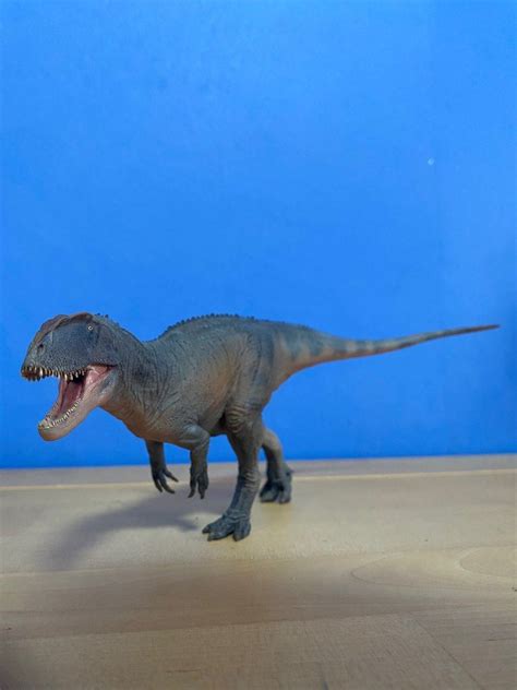 Pnso Dinosaurs Hobbies And Toys Toys And Games On Carousell