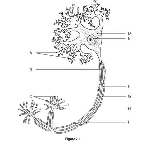 Diagram 2 Diagram Quizlet