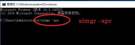 Windows Server 2016服务器系统永久激活 哔哩哔哩