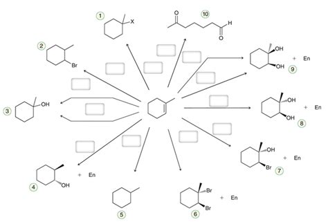 Review Of Reactants Reagents Diagram Quizlet