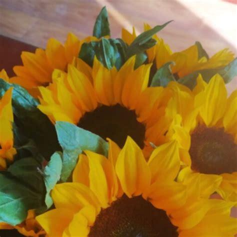 Yufang Tang Xiangtan University School Of Chemical Engineering Research Profile