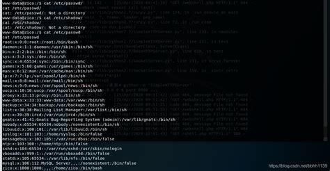小白学习ctf第十一天 Web安全提权ctf Mv提权 Csdn博客 小白学习ctf第十一天 Web安全提权ctf Mv提权 Csdn博客