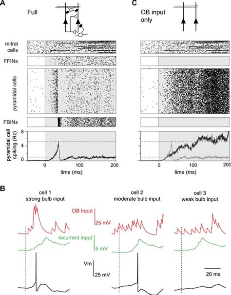 Figures And Data In A Transformation From Temporal To Ensemble Coding