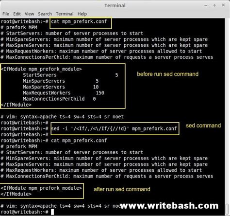 Sed Command To Delete Lines Between Two Patterns