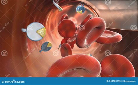 Pancreatic Cell Electrical Activity And Insulin Secretion Stock