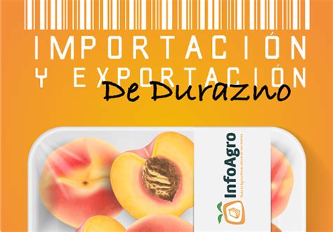 Importación Y Exportación De Durazno Revista Infoagro México