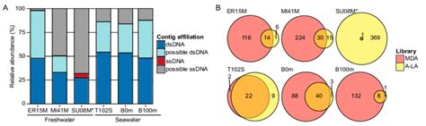 Relative Abundance Of Ssdna Vs Dsdna Viruses In Freshwater And Seawater