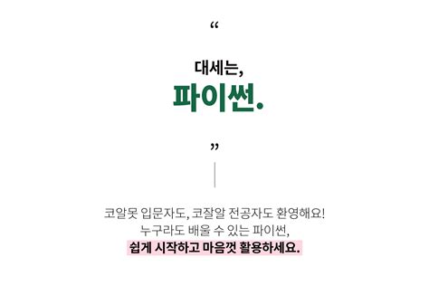 프로그래밍 시작하기 파이썬 입문부터 인공지능 머신러닝까지 로드맵 인프런