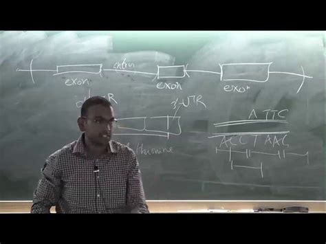 Free Video Sequence Alignment Hidden Markov Models Category Theory And All That Jazz By