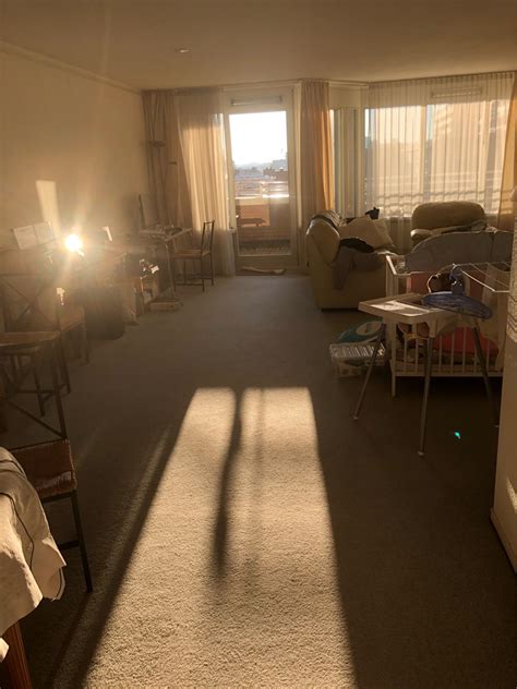 wouter van heddeghem on linkedin lovely afternoon sunshine in our