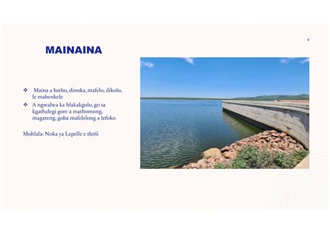 Mehuta Ya Maina Nouns And Types Of Nouns Pdf