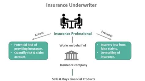 What Is An Insurance Underwriter Definition And Key Responsibilities