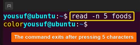 The Read” Command In Linux 8 Practical Examples Linuxsimply
