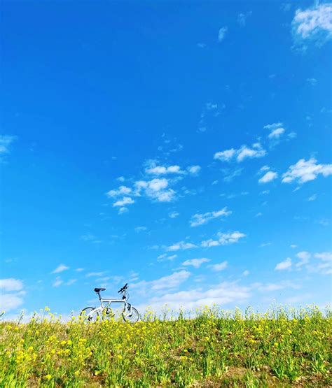 茨城県筑西市 地域商社chikusei Mine