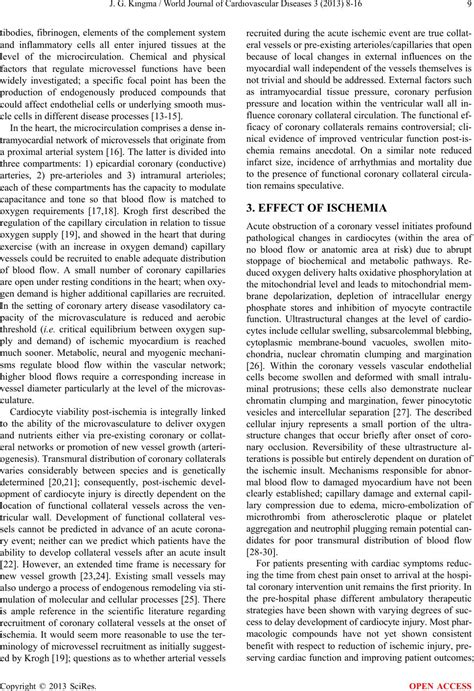 The Myocardial Microcirculation A Key Target For Salvaging Ischemic Myocardium