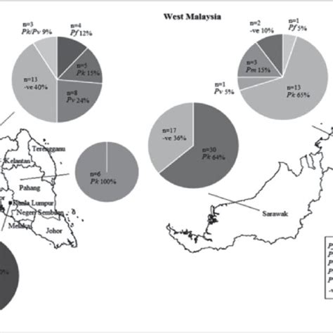 Map Of Malaysia Showing Plasmodium Spp Areas Pie Chart Represents The Download Scientific