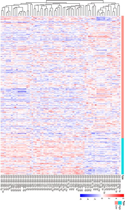 Heatmap Of Top 50 Differentially Expressed Mirnas Between The High And