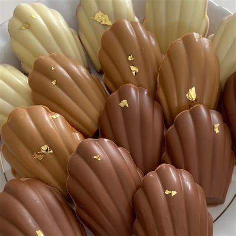 Choco Lab Choco Lab31 • Instagram Photos And Videos