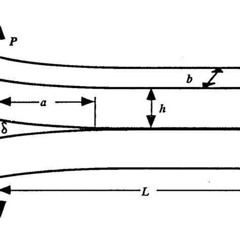 Geometry Used To Develop The Compliance Equation 19 Download