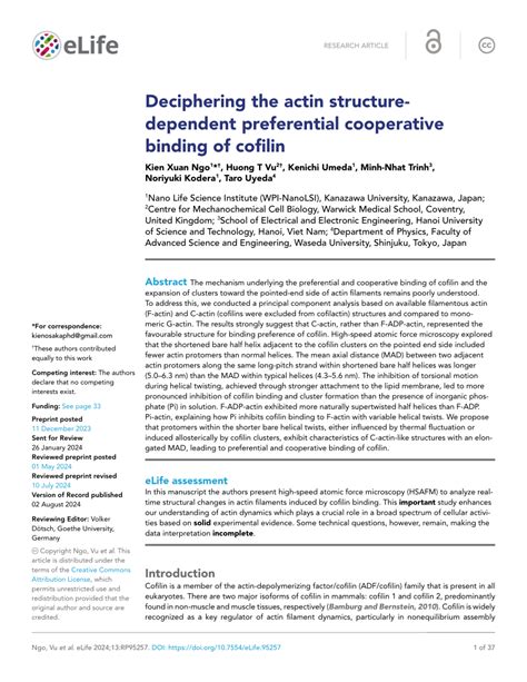 Pdf Deciphering The Actin Structure Dependent Preferential Cooperative Binding Of Cofilin