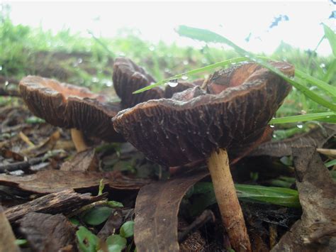 Elementos De La Composicion Andreiitasophie♥♥