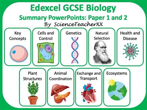 Edexcel GCSE Biology Summary PowerPoints Teaching Resources